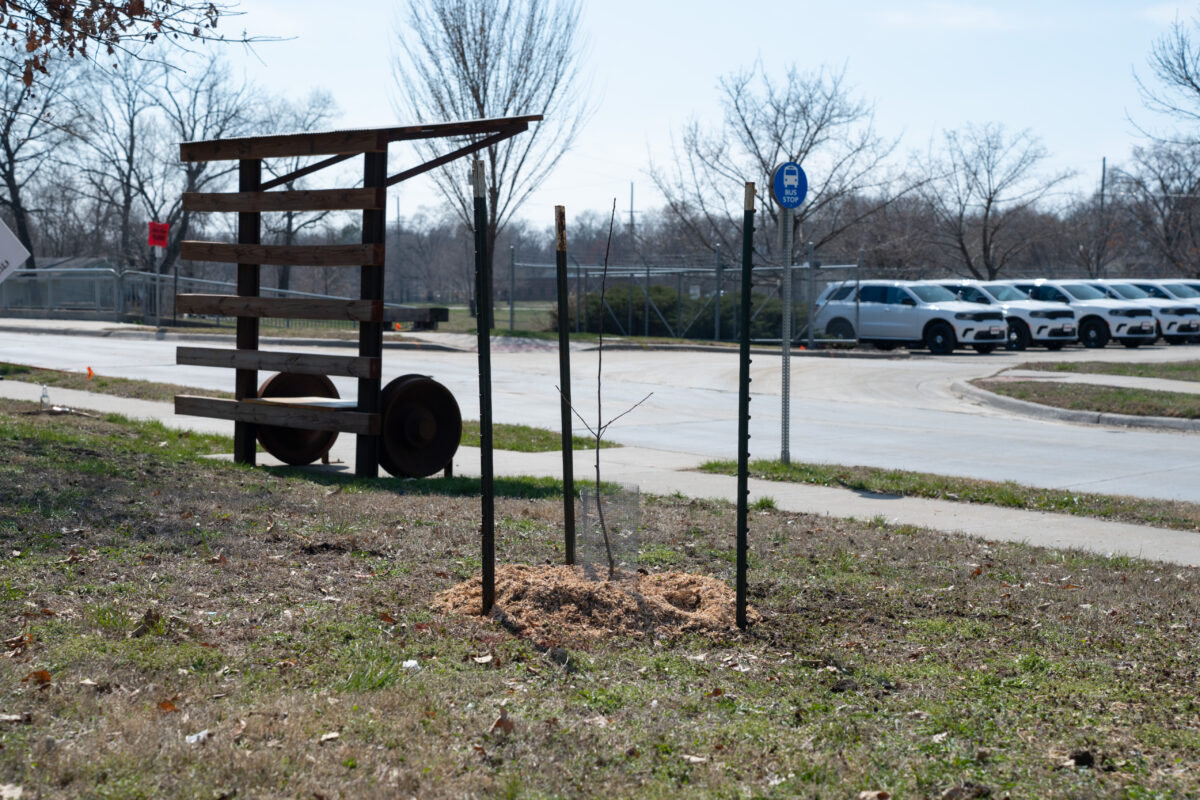 Fruit Trees and Transit make a Great Pear