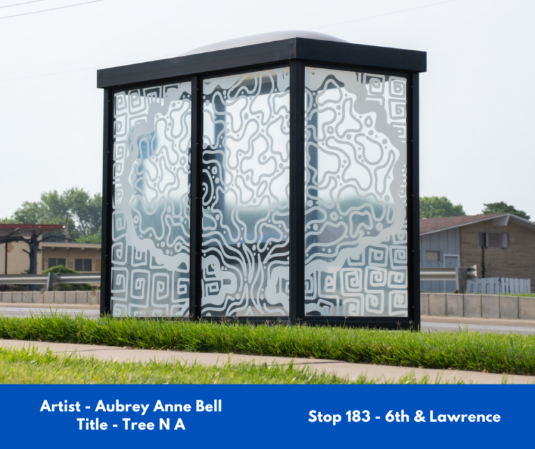 New art installations on bus shelters feature work by local Indigenous ...