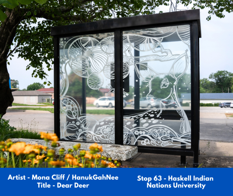 New art installations on bus shelters feature work by local Indigenous ...