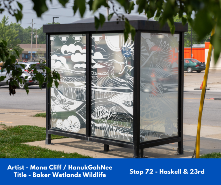 New art installations on bus shelters feature work by local Indigenous ...
